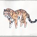 Watercolor Tiger Linocut - Printmaking 8x10 Animal Art - Deckle Edge ...