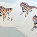 Watercolor Tiger Linocut - Printmaking 8x10 Animal Art - Deckle Edge ...