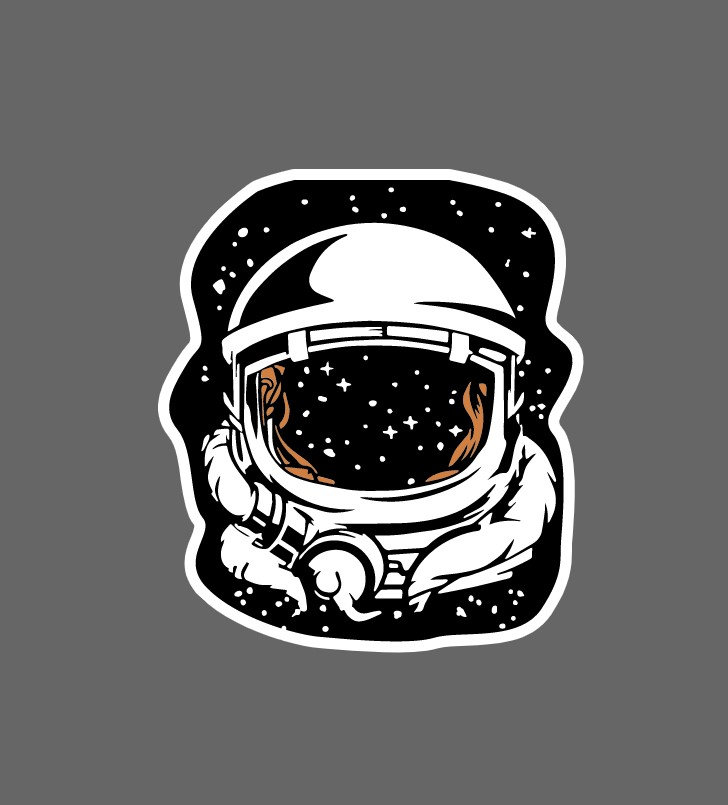 Astronaut Helmet Vinyl Sticker - Etsy