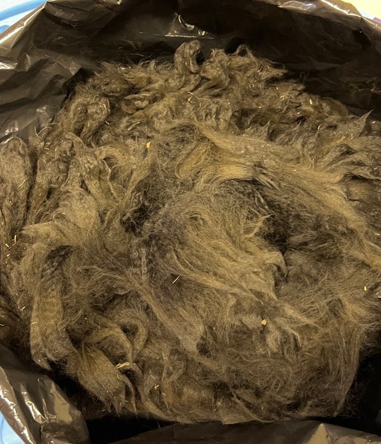 Raw Alpaca Fiber (full Blanket) - Etsy