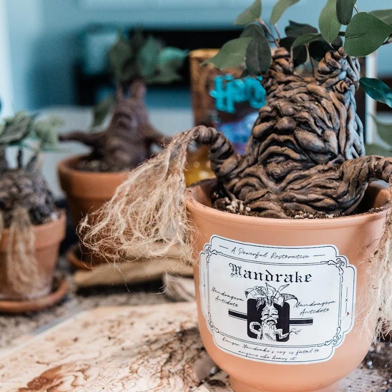 Mandrake Label - Etsy