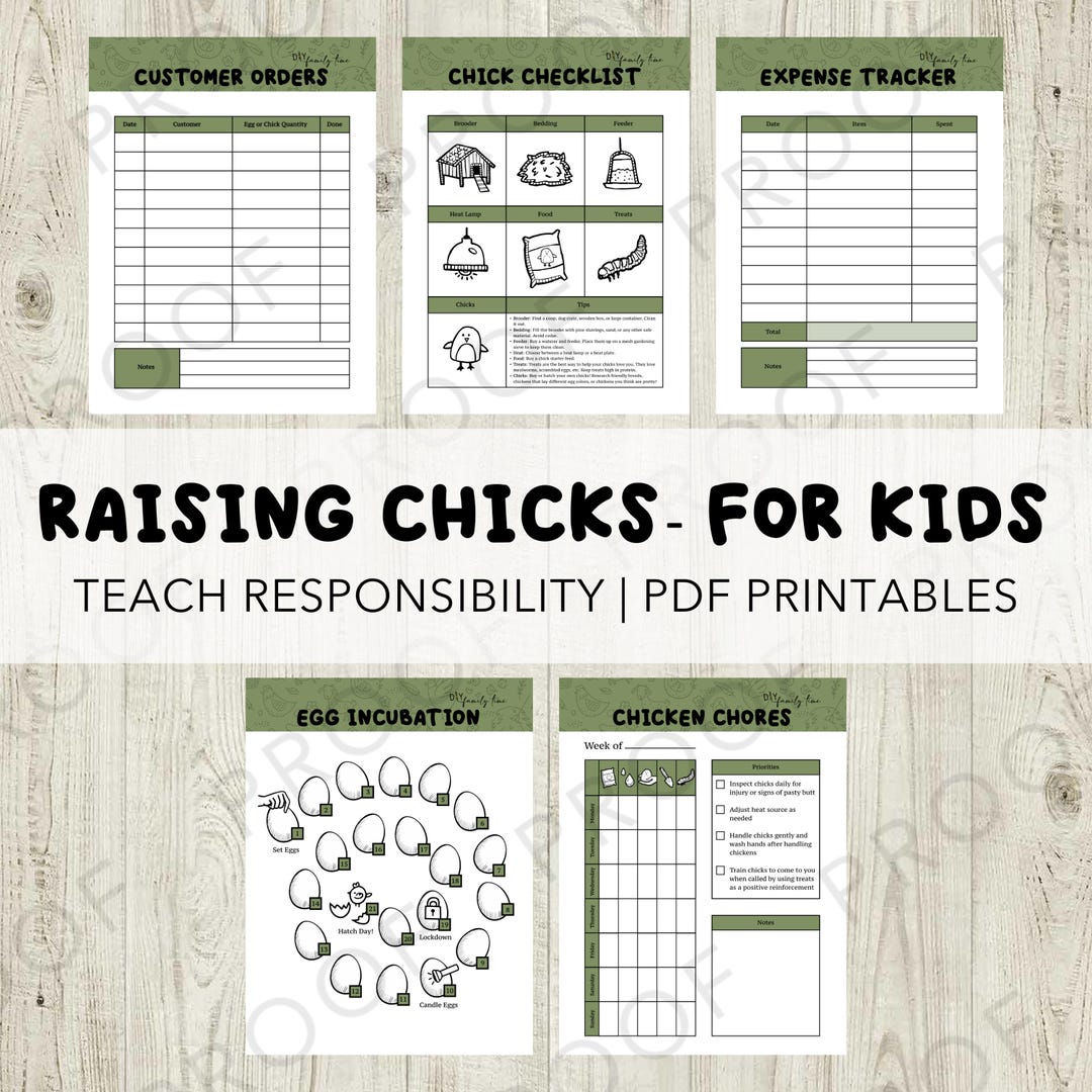 Chicken Keeping Worksheets for Kids - Etsy