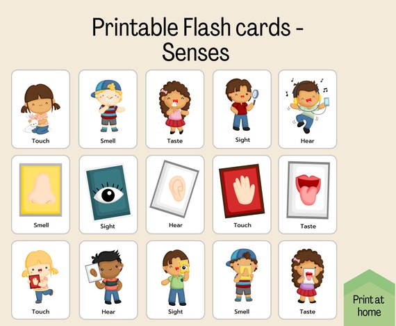 My Senses Flash Cards 25 Printable Senses Cardsinstant - Etsy