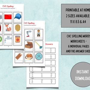 CVC Word Picture Cards: Phonics Worksheets, Learn to Read (digital ...