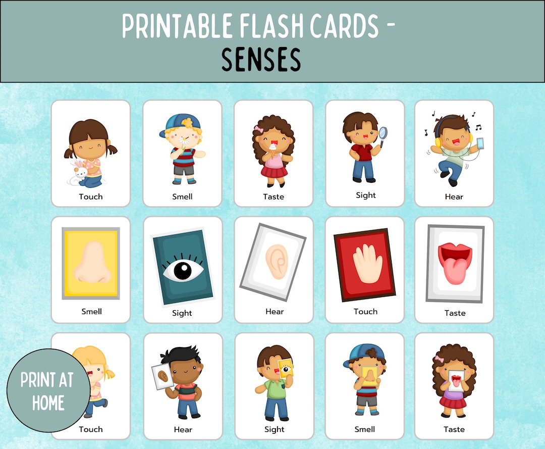 My Senses Flash Cards, 25 Printable Senses Cards,instant Download,pdf ...