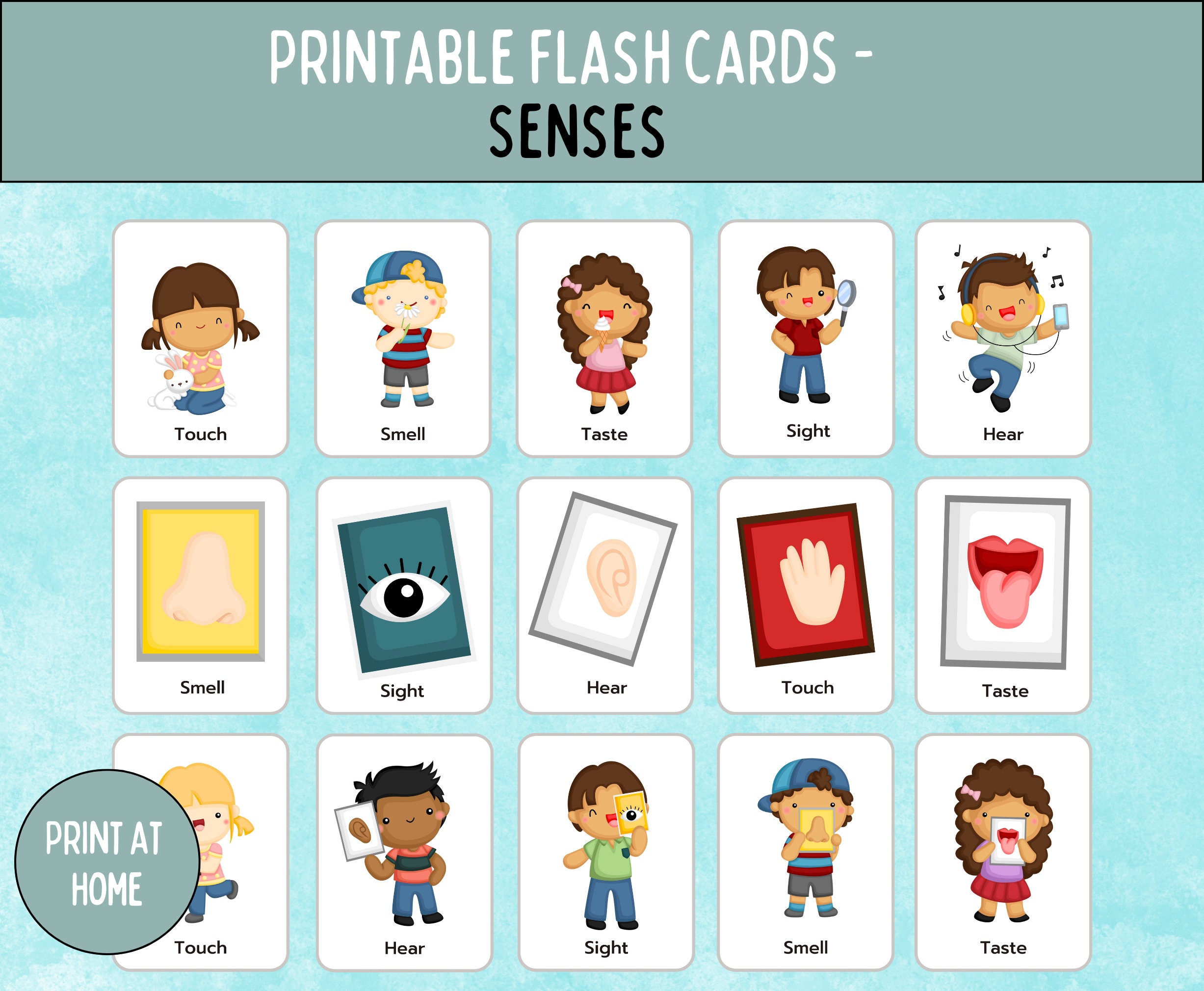 My Senses Flash Cards, 25 Printable Senses Cards,instant Download,pdf ...