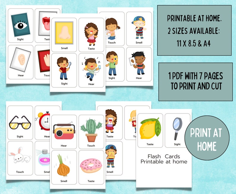 My Senses Flash Cards, 25 Printable Senses Cards,instant Download,pdf ...