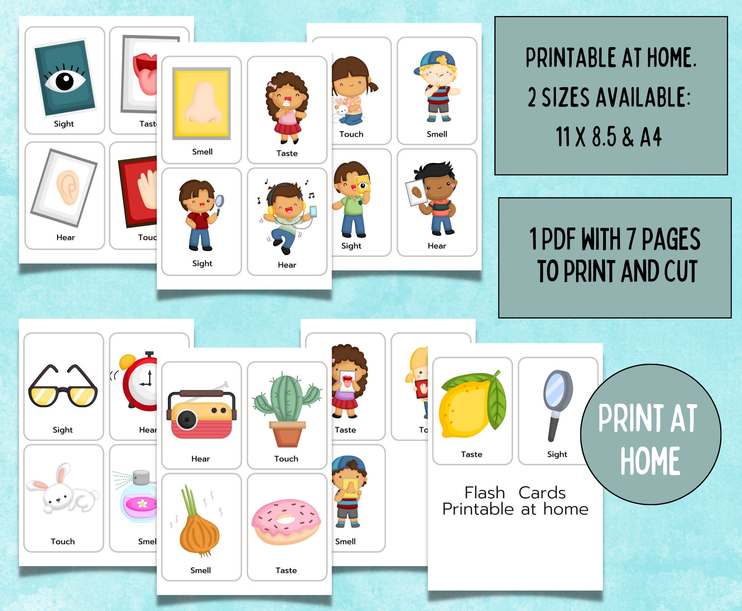 My Senses Flash Cards, 25 Printable Senses Cards,instant Download,pdf ...