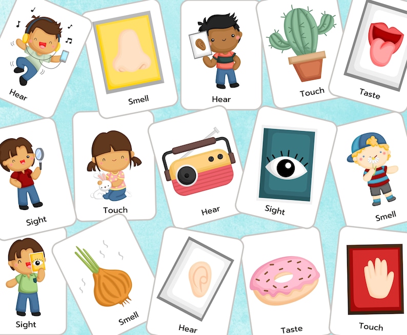 My Senses Flash Cards, 25 Printable Senses Cards,instant Download,pdf ...