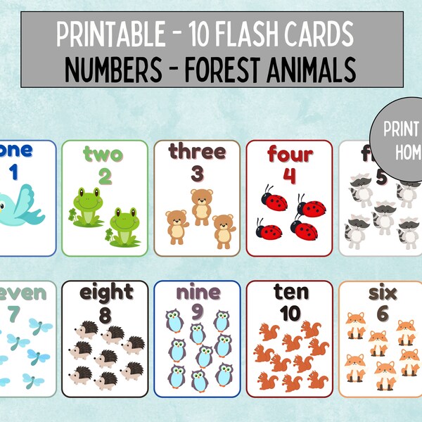 Number Flash Cards - Etsy