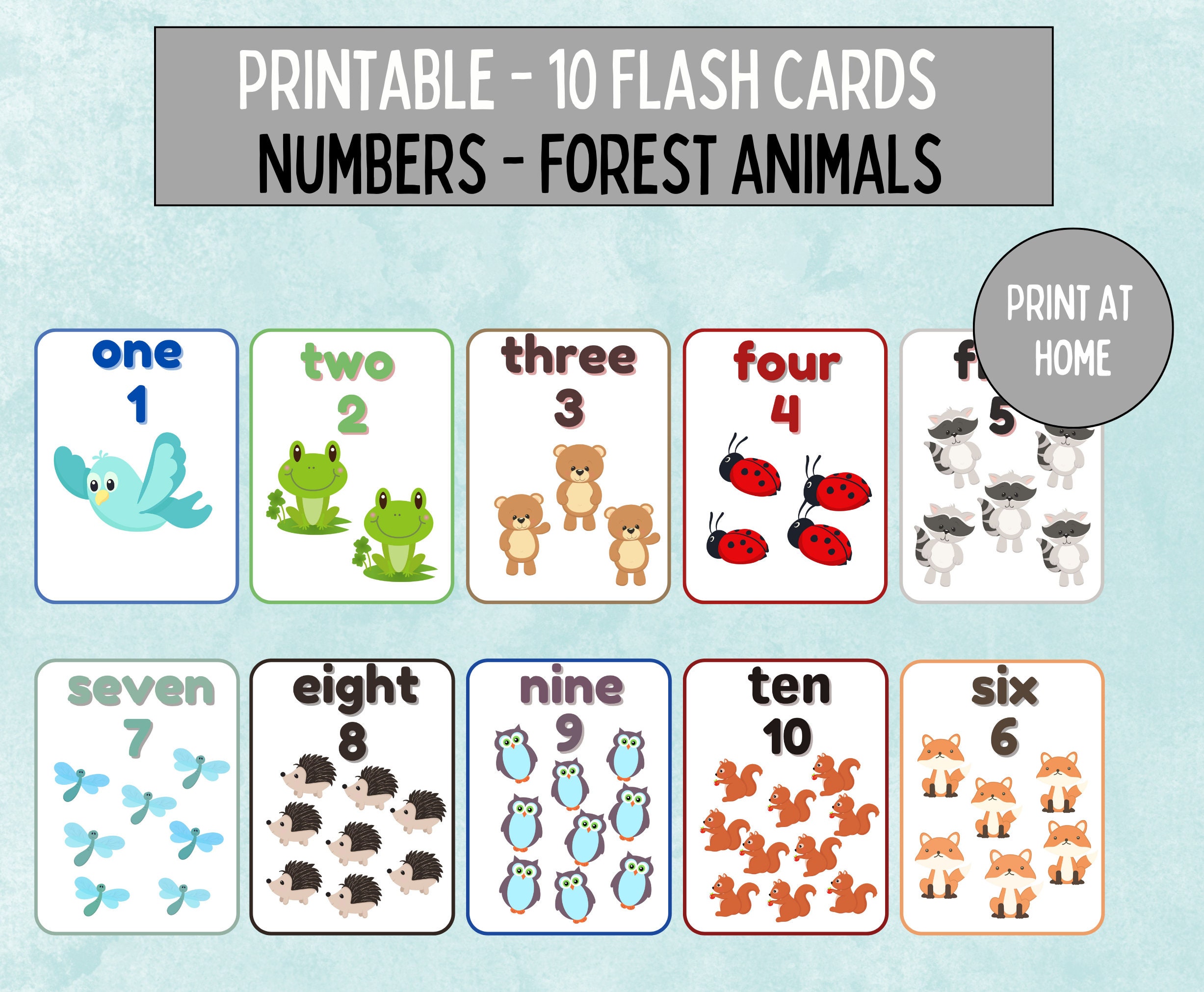 Number Flash Cards Printable1 10 Counting Skills Forest - Etsy