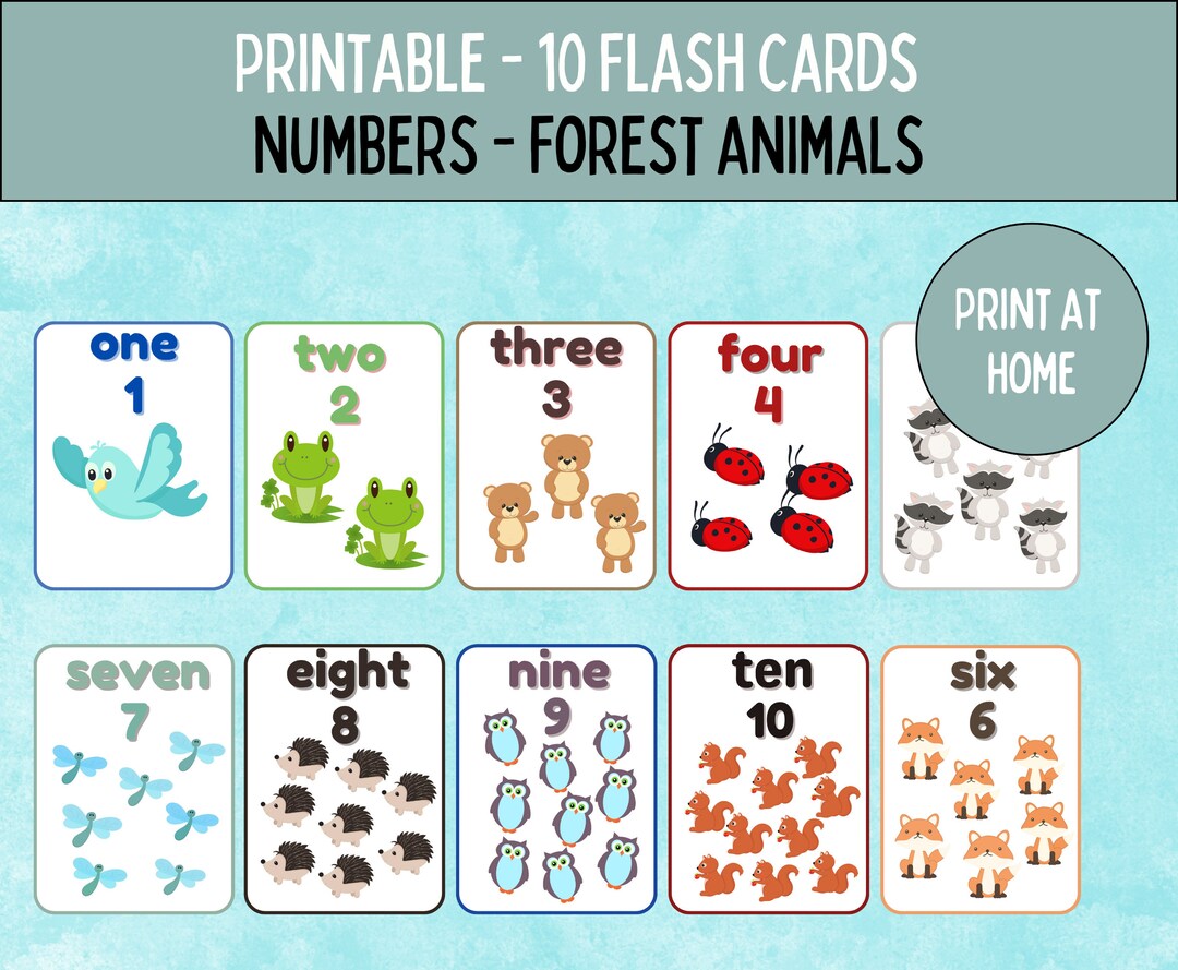 Number Flash Cards Printable,1 -10 Counting Skills, Forest Animals ...