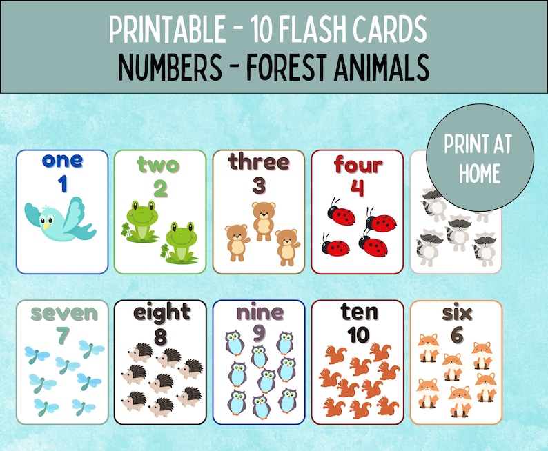 Number Flash Cards Printable,1 -10 Counting Skills, Forest Animals ...