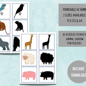 Animal Shadow Matching Printable Cards, Preschool Shadow Matching Game ...