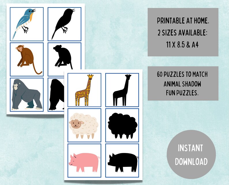 Animal Shadow Matching Printable Cards, Preschool Shadow Matching Game ...