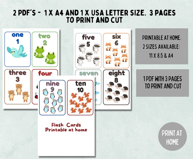 Number Flash Cards Printable1 10 Counting Skills Forest - Etsy