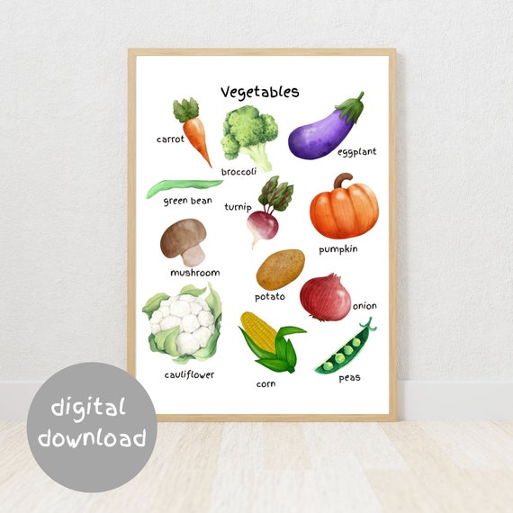 Vegetable Educational Poster/playroom Print/digital - Etsy