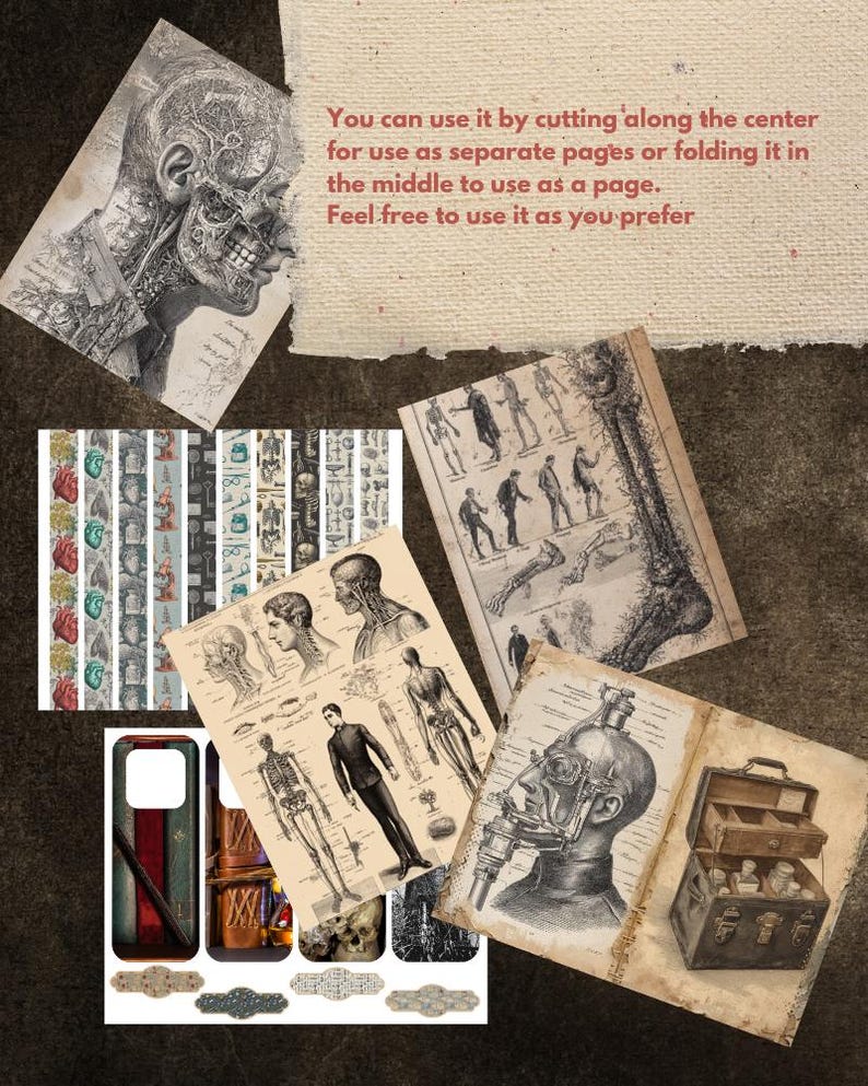 Victorian Anatomy Book Pages, Gothic Medical Ephemera (digital Download ...