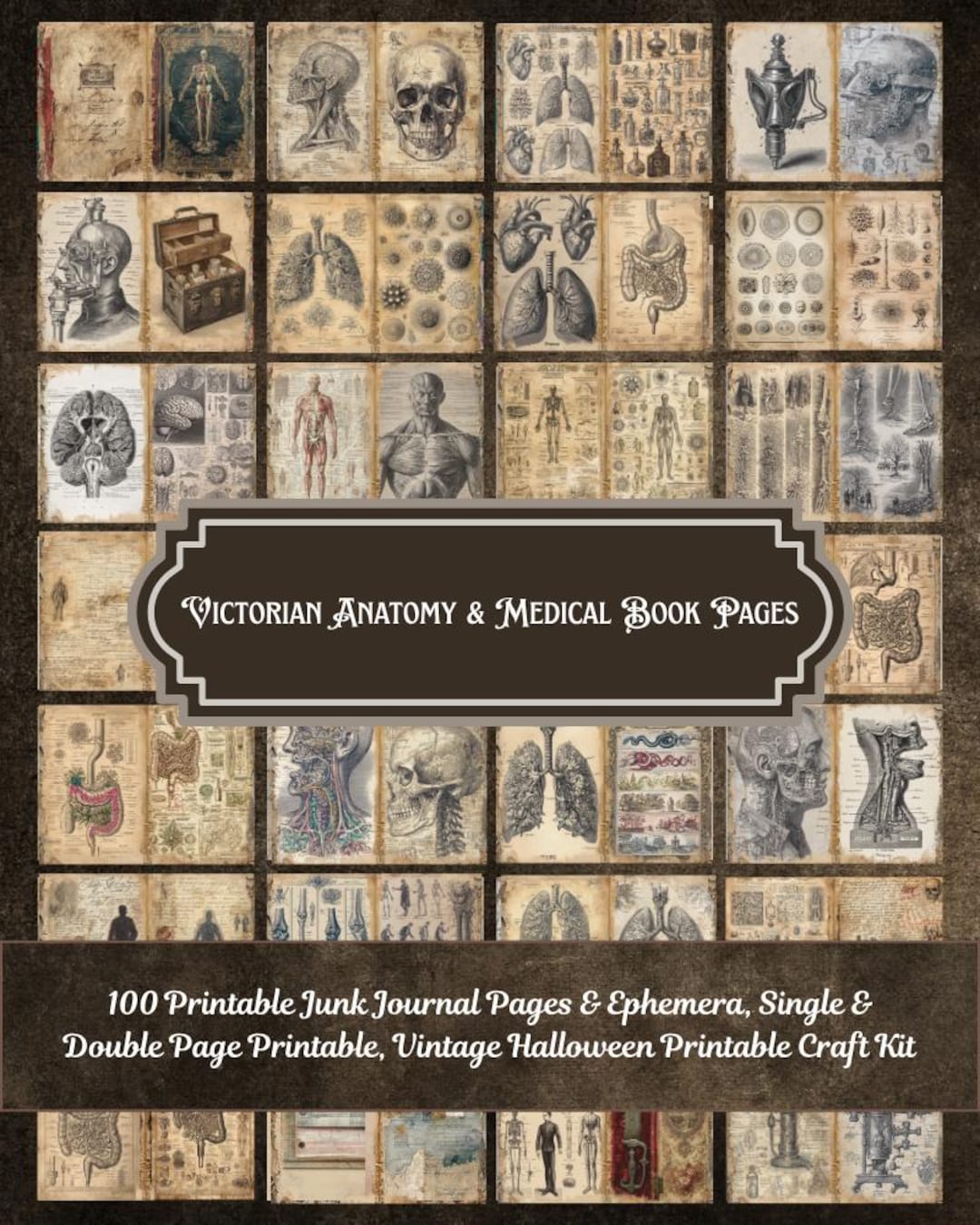Victorian Anatomy Book Pages, Gothic Medical Ephemera (digital Download ...