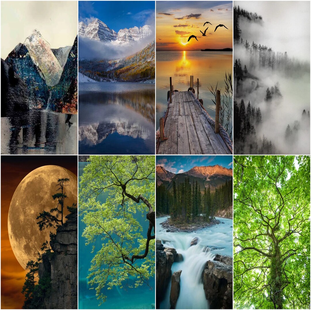 Custom Size - Window Film Decorative Glass Film Anti UV Window Privacy ...