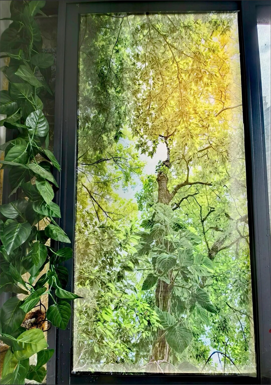 Custom Tree-view Frosted Glass Film – Static Cling Privacy Sticker for Bedroom Mirrors and ...