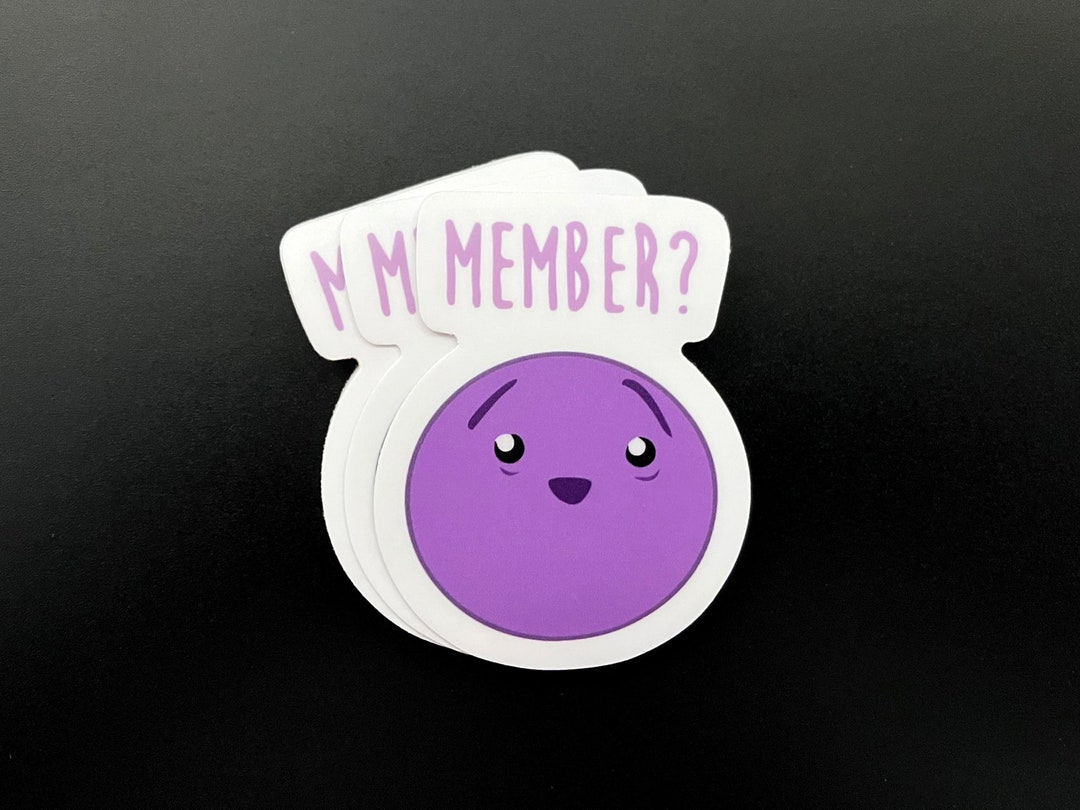 Pair of Member Berries Stickers (2 Count) - Matte Vinyl Stickers 2.75 ...