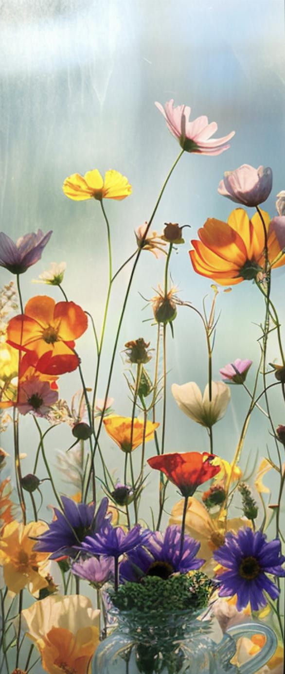 Floral Window Film - Vibrant Peel & Stick Decorative Privacy Film for ...