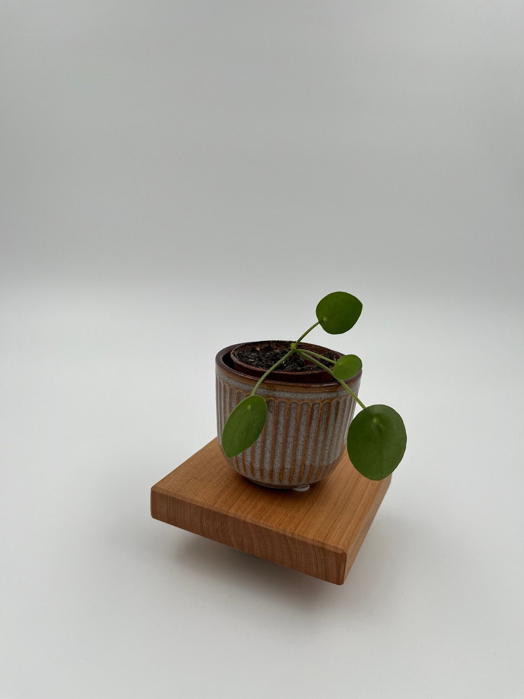 Mini Shelf Modern Wooden Shelves Wall Decor Decoration - Etsy