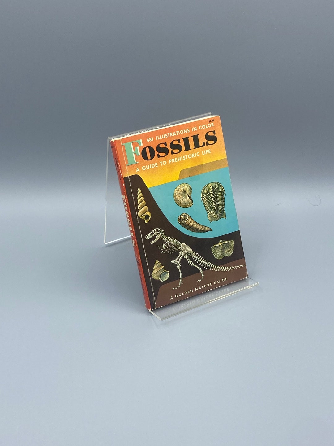 1962 Fossils A Guide to Prehistoric Life Golden Nature Pocket Guide ...