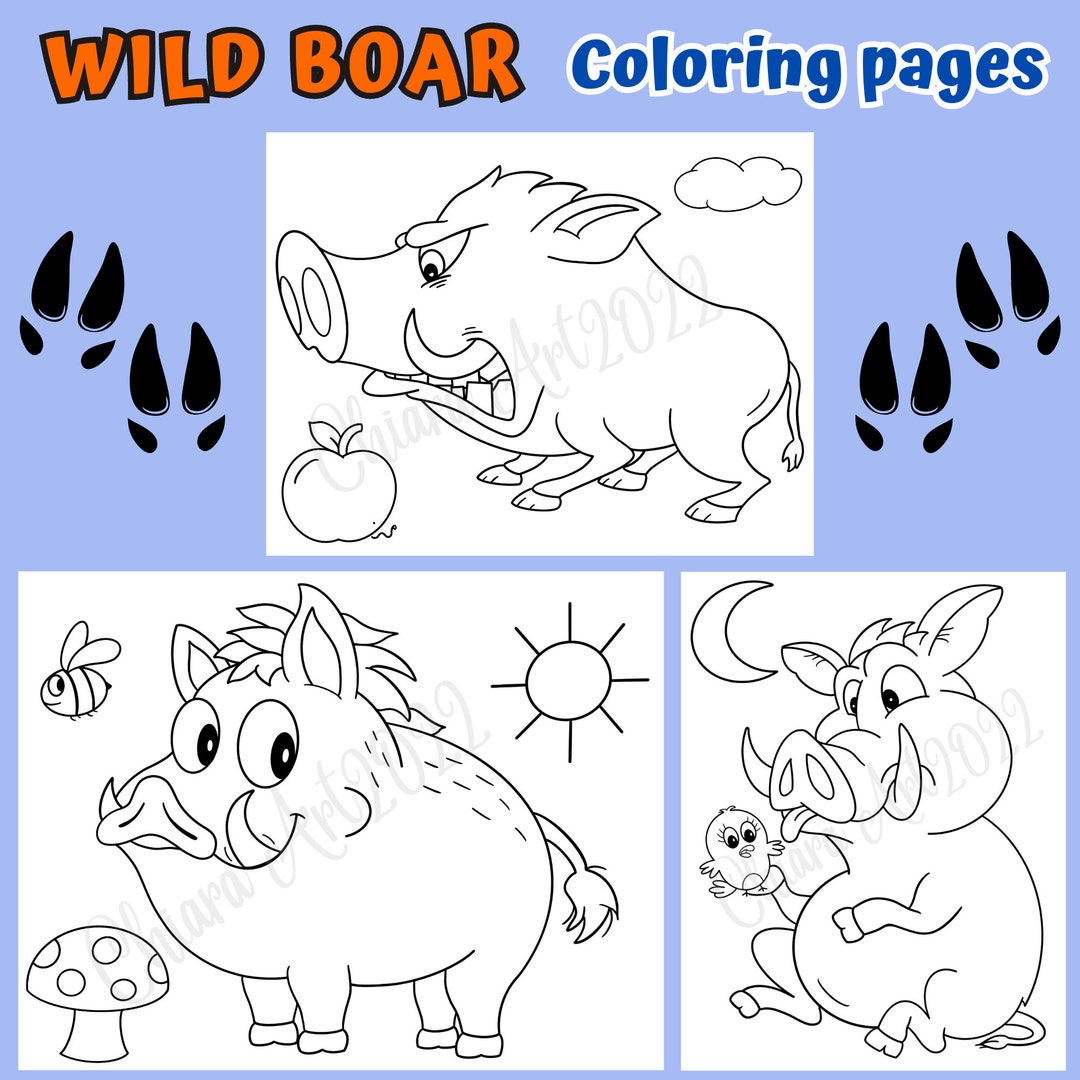 Wild Boar Coloring Pages for Preschool and Up, Wild Boar Easy Coloring ...