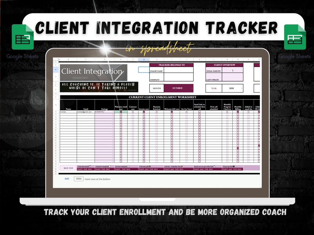 Client Intake Log, Client Tracker Spreadsheet for Coaches,crm, Client ...