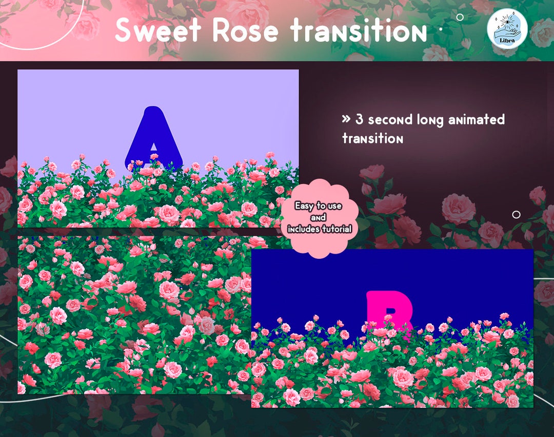 Sweet Pink Rose Transition OBS Stinger Animated Stream - Etsy