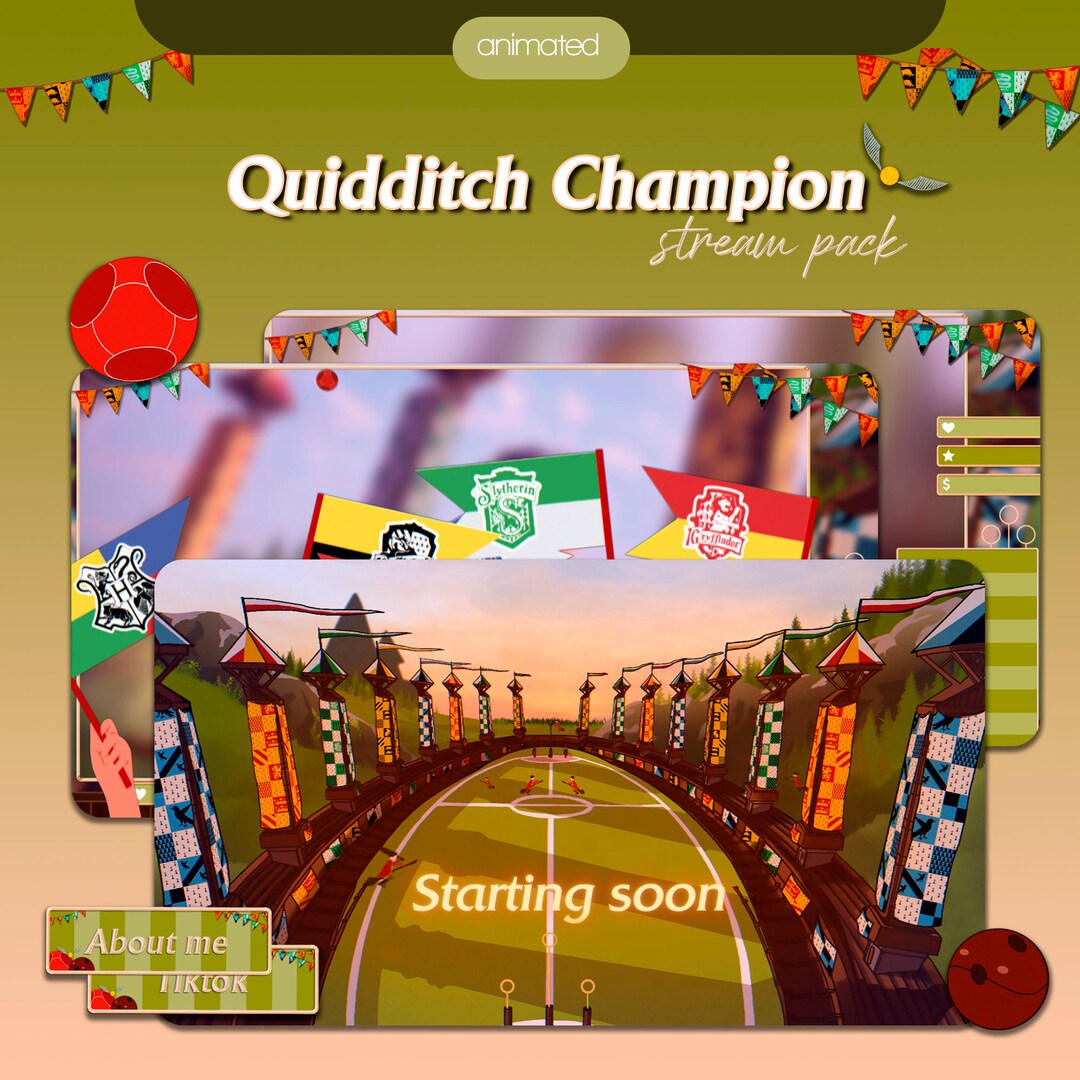 Stream Overlay Flying Broom, Stinger Transition, Magic, Fantasy, Witch ...