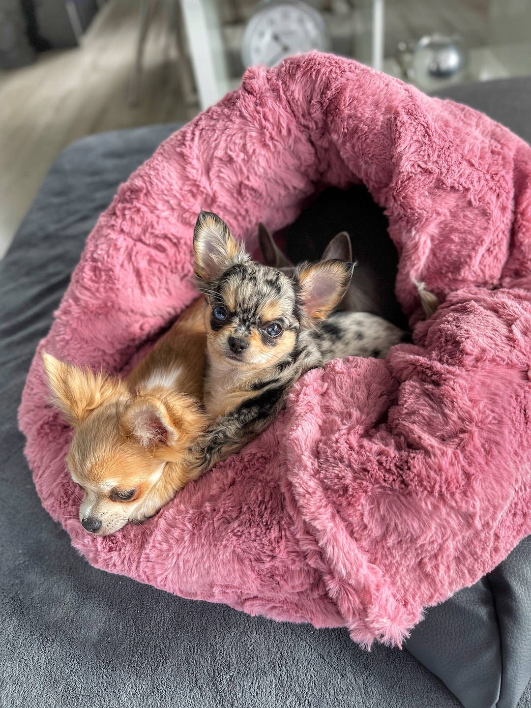 Slip Bag, Cuddly Bag, Cuddle Cave of HS Dog Bed in Old Pink, Powder or ...