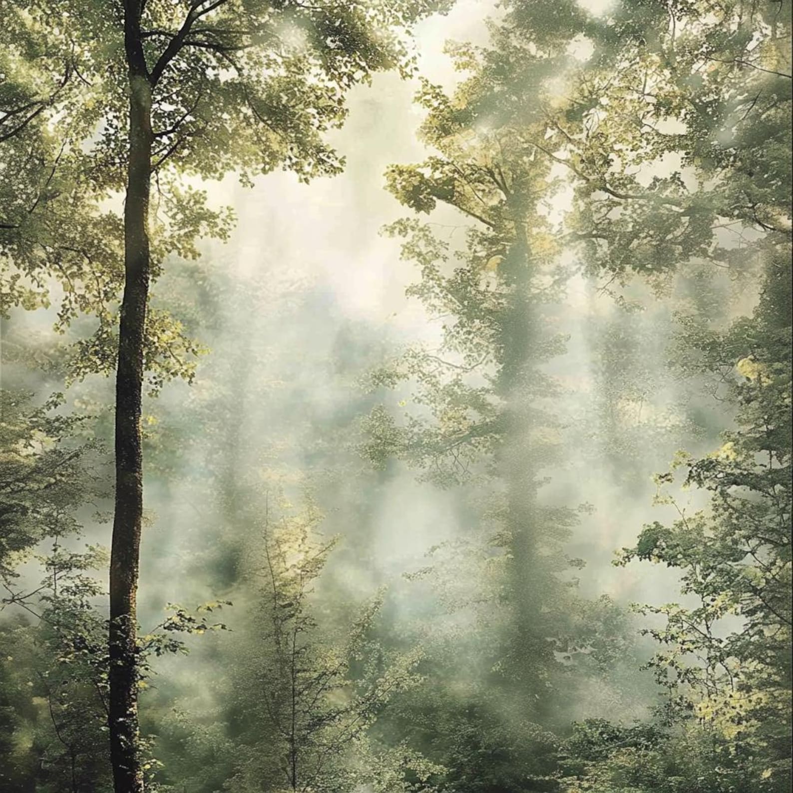 Misty Forest Privacy Window Film – Nature-inspired Decorative Decal for ...