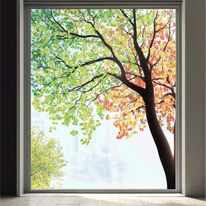 Colorful Seasonal Tree Design Glass Film - Privacy and UV Protection ...