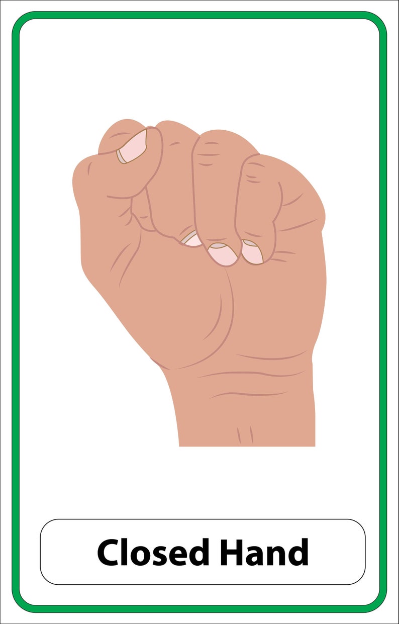 Human Body Parts. Flash Cards Svg.36 Human Body Parts Flash - Etsy