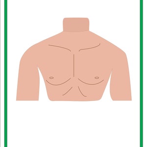 Human Body Parts. Flash Cards Svg.36 Human Body Parts Flash - Etsy