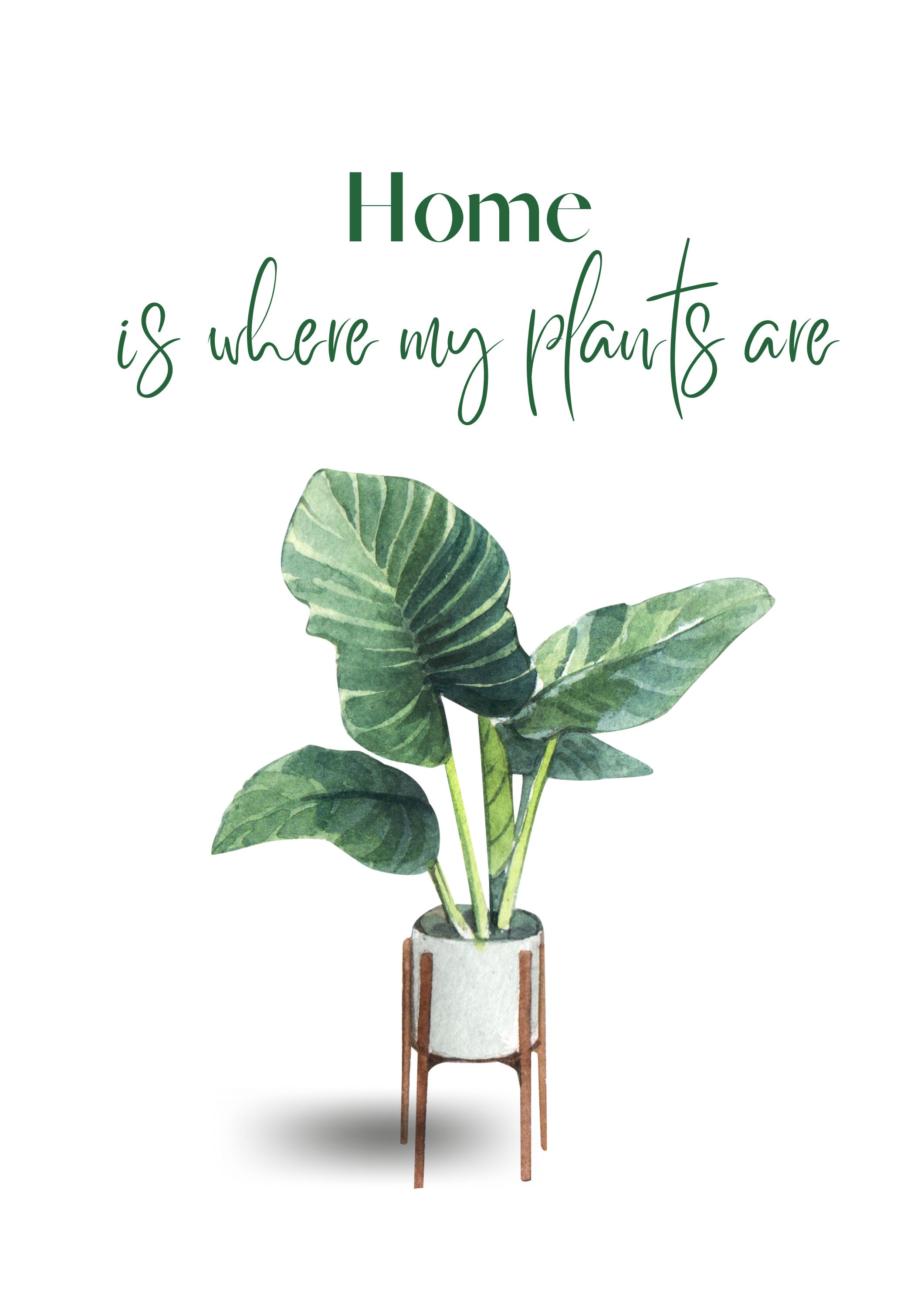 Botanical Plant Poster A4 Size Digital Printable With a - Etsy