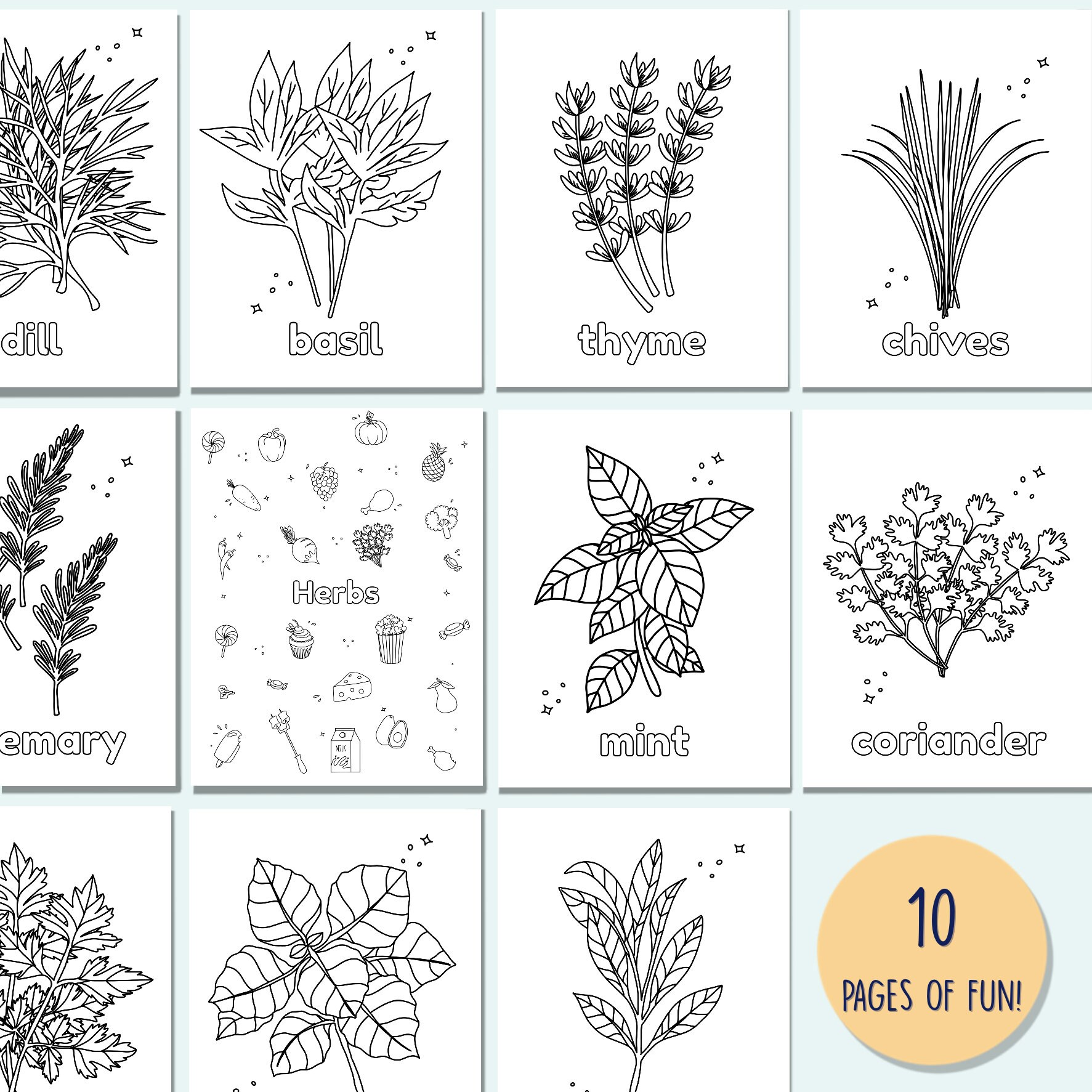 Herbs Coloring Pages for Kids - Etsy Australia