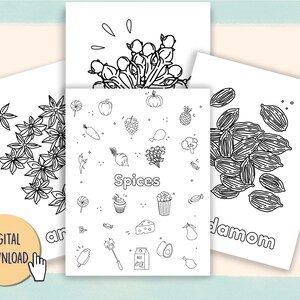 Spices Coloring Pages for Kids - Etsy