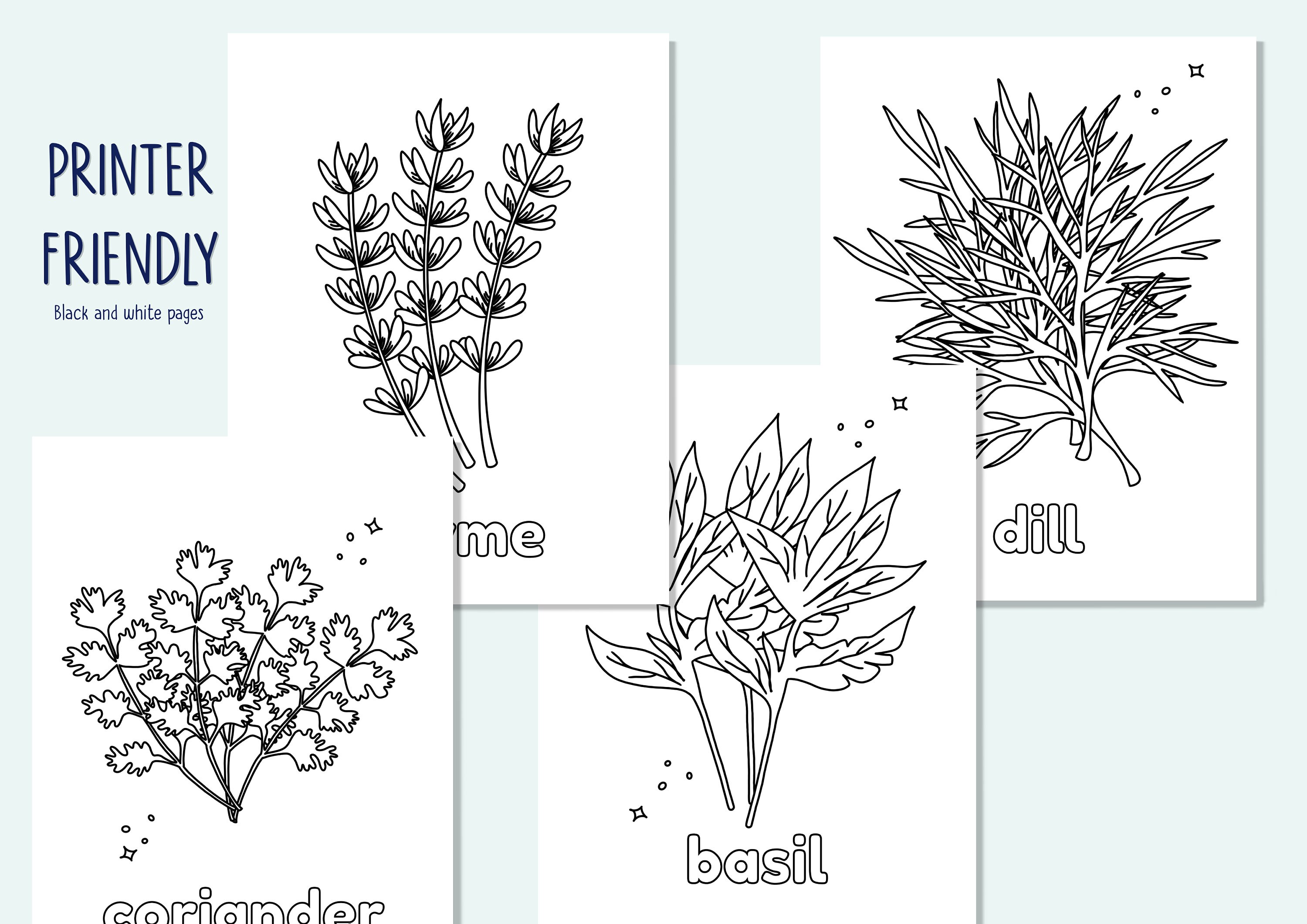 Herbs Coloring Pages for Kids - Etsy
