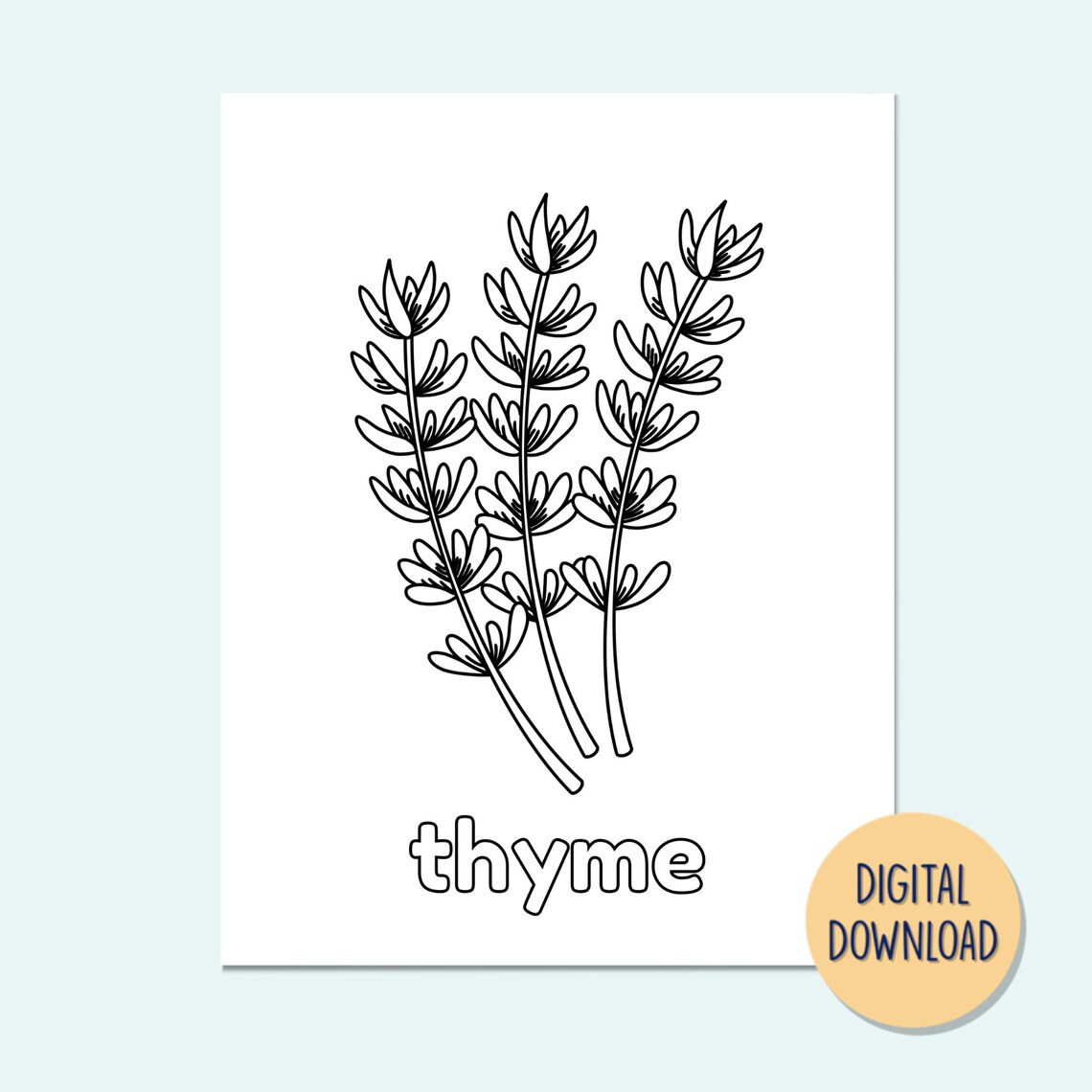 Herbs Coloring Pages for Kids - Etsy