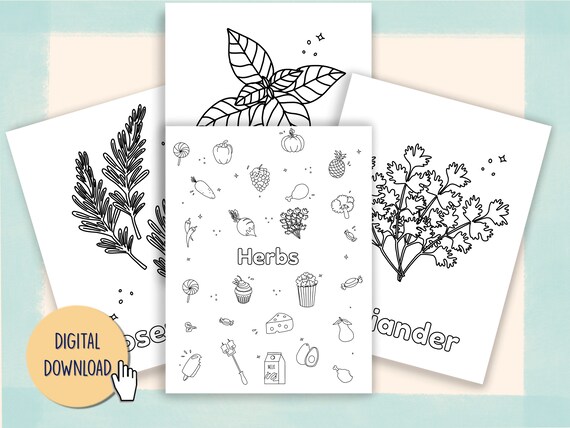 Herbs Coloring Pages for Kids - Etsy