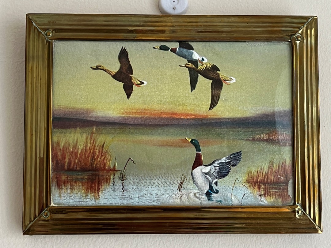 Vintage FJW Foil Art Print Ducks in Flight | Morning Light by Edward Ward Dufex Picture ...