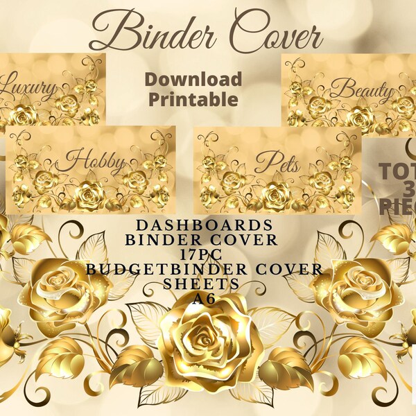 Sinking Fund Dashboard - Etsy