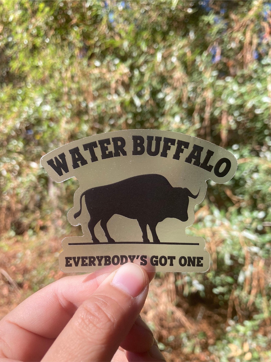 Water Buffalo Sticker, Transparent Veggietales Decal, Everybody's Got a ...