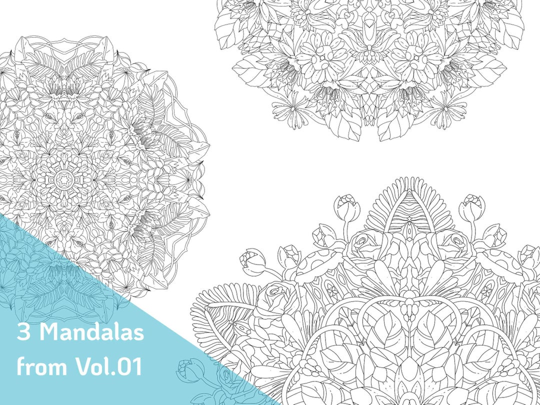 Printable Coloring Sheets Very Detailed Mandalas - Etsy