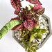 Personalized Concrete Octagon Planter | 3 Patterns - Etsy