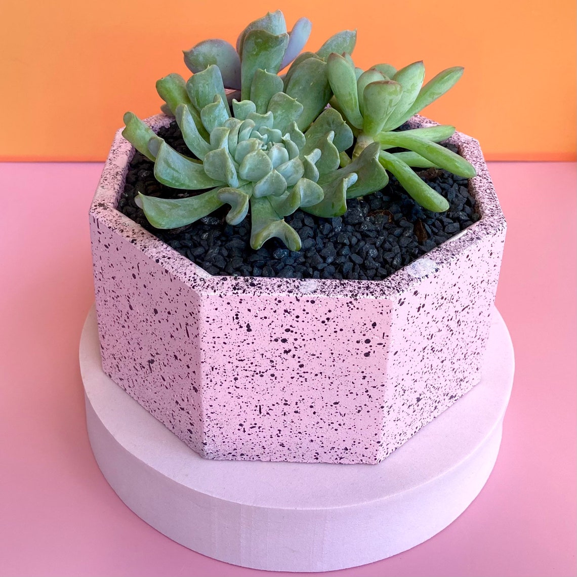 Personalized Concrete Octagon Planter | 3 Patterns - Etsy